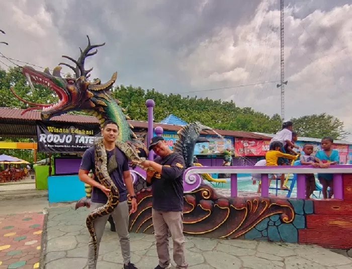 Wisata Rodjo Tater Tegal: Menikmati Pesona Keindahan Alam yang Memesona ...